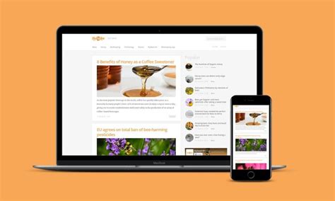 async labs reviews view portfolios designrush