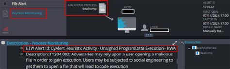 Brain Cipher Ransomware Analysis With Cynets All In One Platform