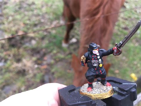Blitz And Loona Made In Hero Forge Rhelluvaboss