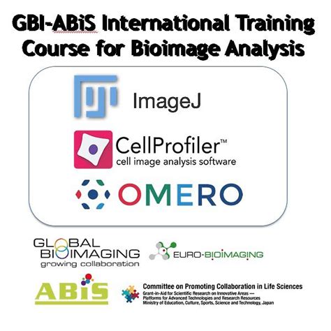 Gbi Abis International Training Course For Bioimage Analysis Oist Groups