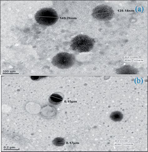 Tem Microphotographs Of Nvs Formulation A Cur Loaded Cnvs And B Cur