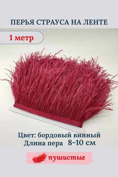 Перья страуса на ленте 1 м купить на OZON по низкой цене (1715275476)