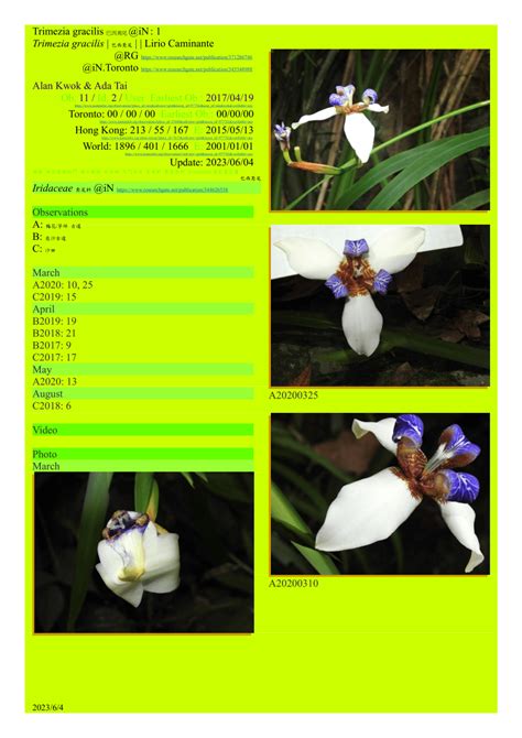 Pdf Trimezia Gracilis 巴西鳶尾 In