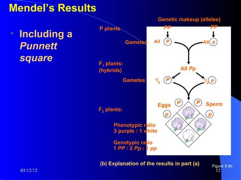 Hereditary Patterns Ppt