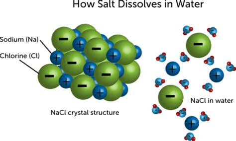 Particle Diagram Of Sugar Dissolving In Water