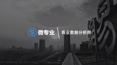 微专业：数据分析师excelsql，三个月冲击世界500强抢手数据分析师 Vipc6资源网