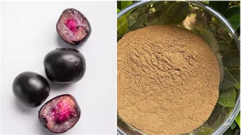Jamun Seeds Benefits सेहत के लिए बूस्टर से कम नहीं हैं जामुन के बीज