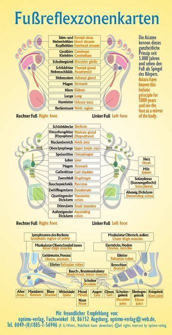 Fuss Reflexzonen Karte Gesundheit Reflexologie Gesundheit Und