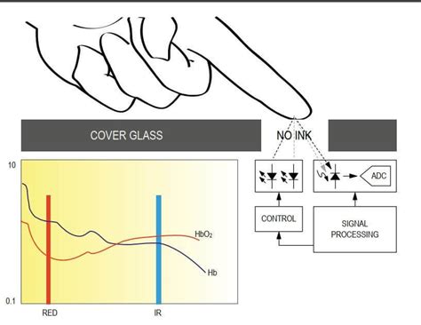 How To Display Heart Rate On The Lcd With Arduino U Nikoamy