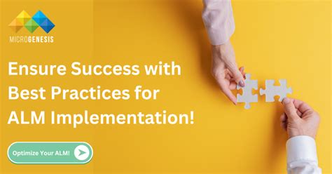 Alm Tool Implementation Best Practices Microgenesis