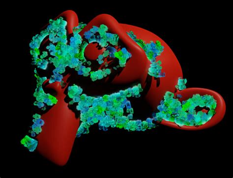 Geometry Nodes How To Emit Particles Only At The Edges Of The Mesh Particles And Physics