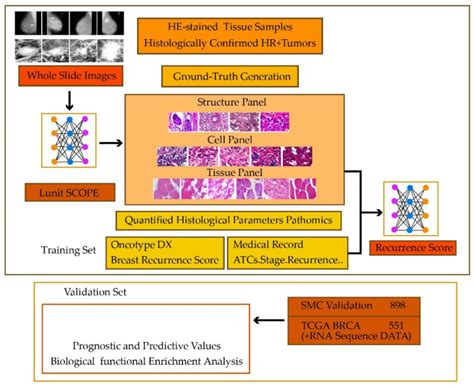 Breast Cancer Dataset Classification And Detection Using Deep Learning Pmc