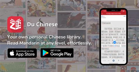 Lessons Du Chinese