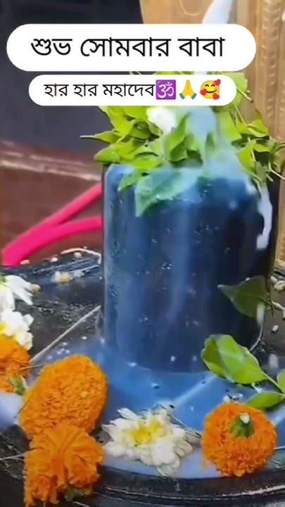 Har Har Mahadev Shambu 🙏🏻youtubeshorts Shortvideo💙🌿 Youtube