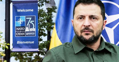 Мнения союзников по членству Украины в НАТО разделились кто