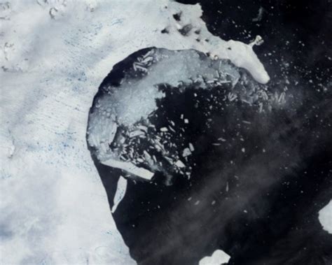 Larsen C Ice Shelf
