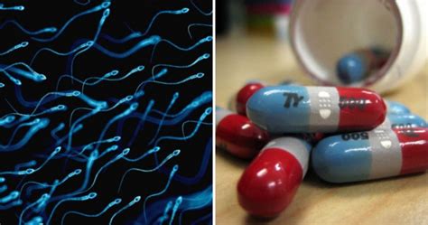 faktów o seksie o których prawdopodobnie nie miałeś pojęcia