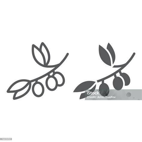 Olive Branch Line And Glyph Icon Plant And Tree Olives Sign Vector