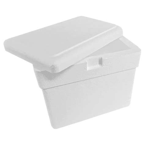 3 Liters Eps Styrofoam Cooler Box Shein Usa