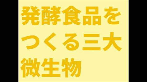発酵食品をつくる三大微生物 Youtube