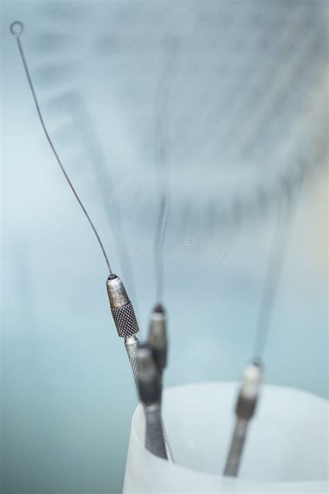 The Inoculating Loop Stock Image Image Of Biological