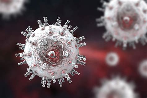 Kaposis Sarcoma Virus Photograph By Kateryna Konscience Photo Library