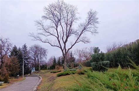 5 знаків Зодіаку які відчують усмішку удачі у 2022 році Особлива