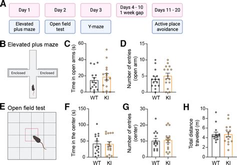 Ubiquitination Of The Glua1 Subunit Of Ampa Receptors Is Required For