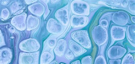 Hereditary Disorders Of Connective Tissue A Guide To The Emerging