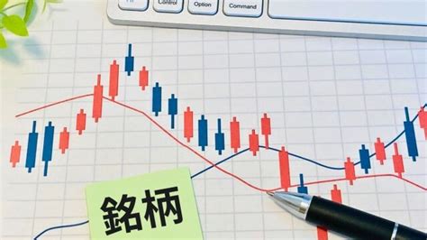 初心者向け株式投資！銘柄選びの情報収集ポイント
