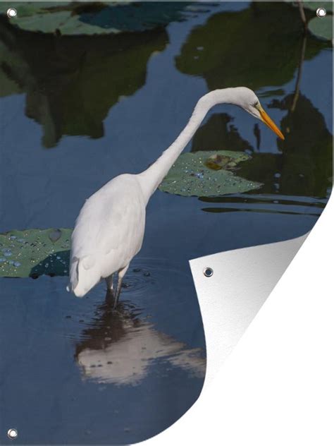 Tuinposter Tuindoek Tuinposters Buiten Grote Zilverreiger Loopt