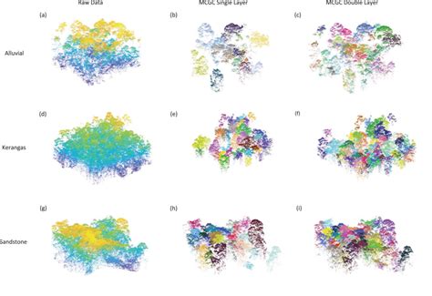 3d Segmentation Of Trees Through A Flexible Multiclass Graph Cut Algorithm Forest Ecology And