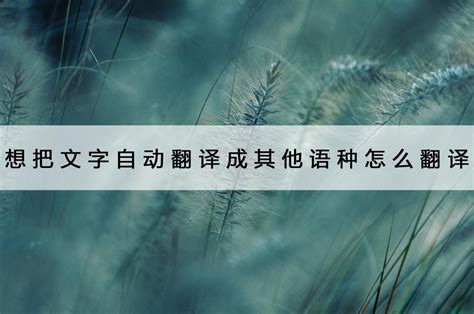 想把文字自动翻译成其他语种怎么翻译？这工具真好用 哔哩哔哩