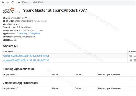 Apache Doris 数据导入：insert Into语句；binlog Load；broker Load；hdfs Load；spark