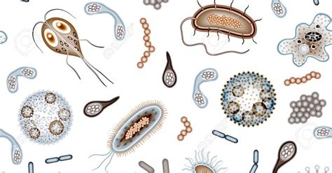 農から考える自然の摂理～「土の仕組みを探る」：瀕死の微生物たちが森の生態系を守る 新しい「農」のかたち