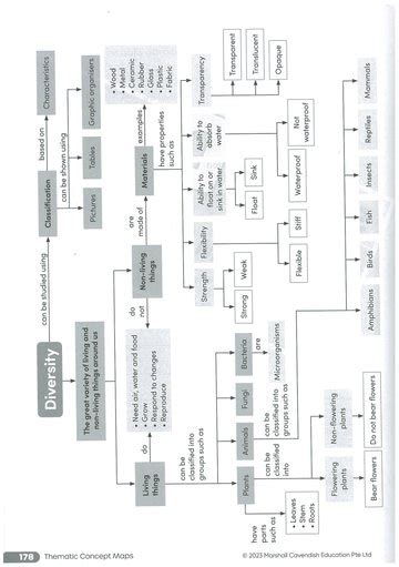 Science Revision Guide Primary 3 Openschoolbag