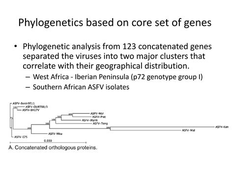 Asfv Genome Sequencing Pdf