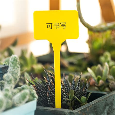 盆栽标签盆栽创意标签大山谷图库