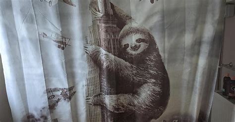 New Shower Curtain Album On Imgur