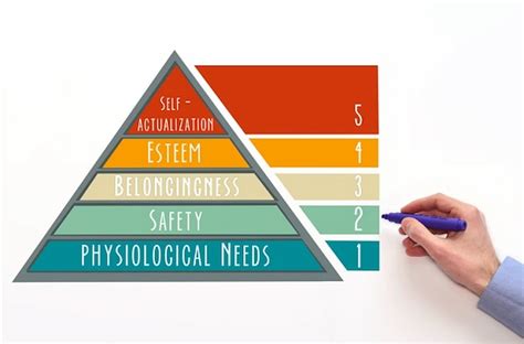 Ng D Ng Th P Nhu C U Maslow Trong T Nh Y U Nh Th N O