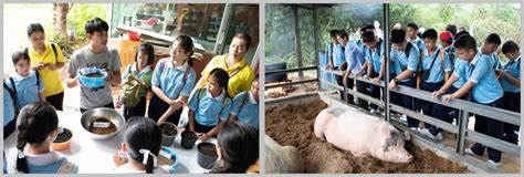 ทัศนศึกษา ณ ศูนย์กสิกรรมธรรมชาติท่ามะขาม ชั้นประถมศึกษาป 5 ป 6