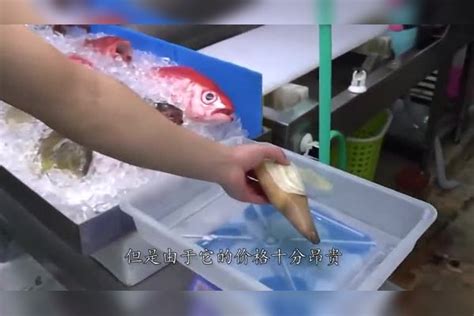 沙滩上一生物不停往外吐水，男子挖出一看，真是走狗屎运了！男子沙滩一生