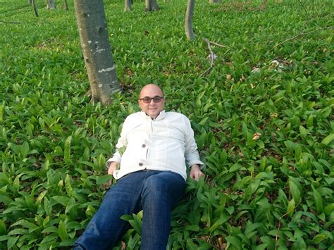 Sremuš Divlji Bijeli Luk Srijemuš Crijemuš Sremuš Kao Lijek Allium