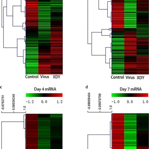 Hierarchical Cluster Analysis Of Mirnas And Mrnas In Mouse Lungs At 4 Download Scientific