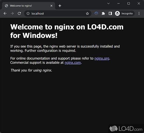 nginx for windows screenshots