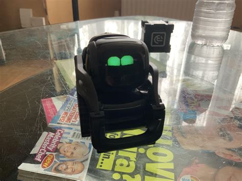 Vector Being Cute What Else Can I Say Rankivector