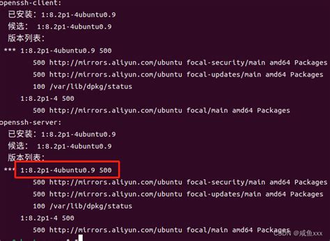 Ubuntu安装openssh Server出现失败ubuntu2404 安装openssh失败 Csdn博客