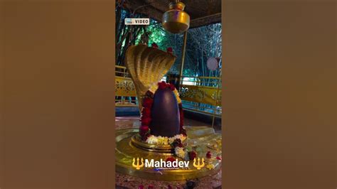 तुम अगर 📿ना सुनोगे तो फ़िर कोन सुनेगा 🔱 Shorts Mahadev Shivshankar