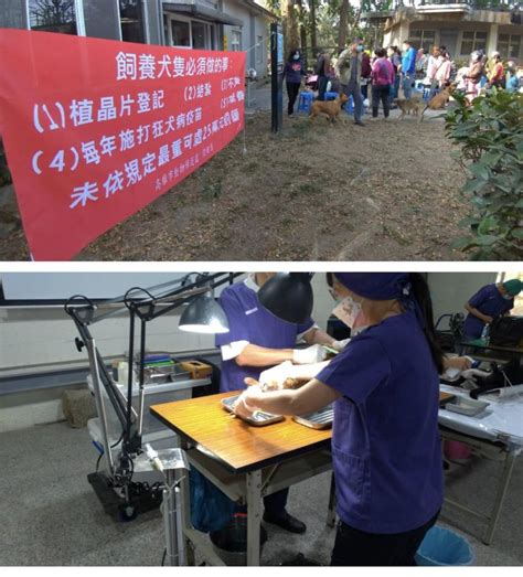 動保處112年增設動物醫療站