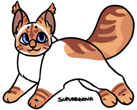 Fossil Findings On Toyhouse